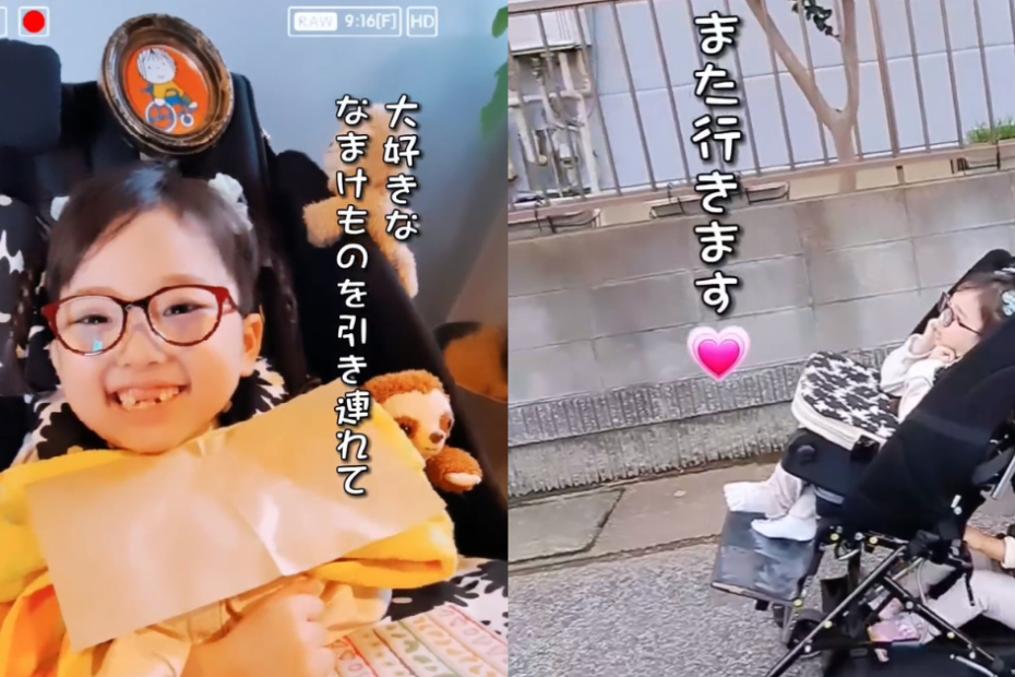 Toto-chan's family visited Sloth Cafe, and gave us a wonderful video ...