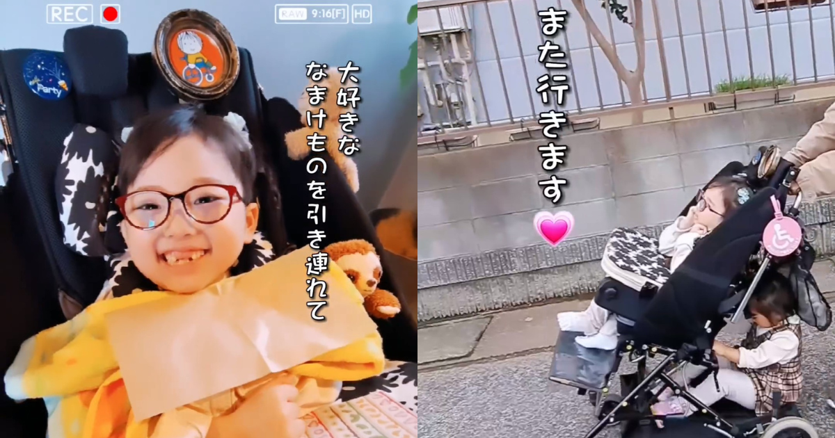 Toto-chan's family visited Sloth Cafe, and gave us a wonderful video ...