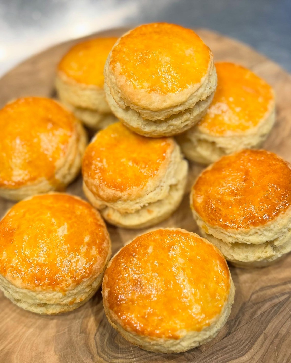 For Families with Young Children｜A Welcoming Space at Sloth Cafe ...